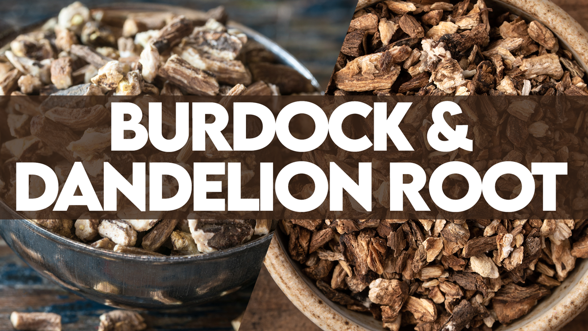 Burdock & Dandelion Root – Herbally Grounded