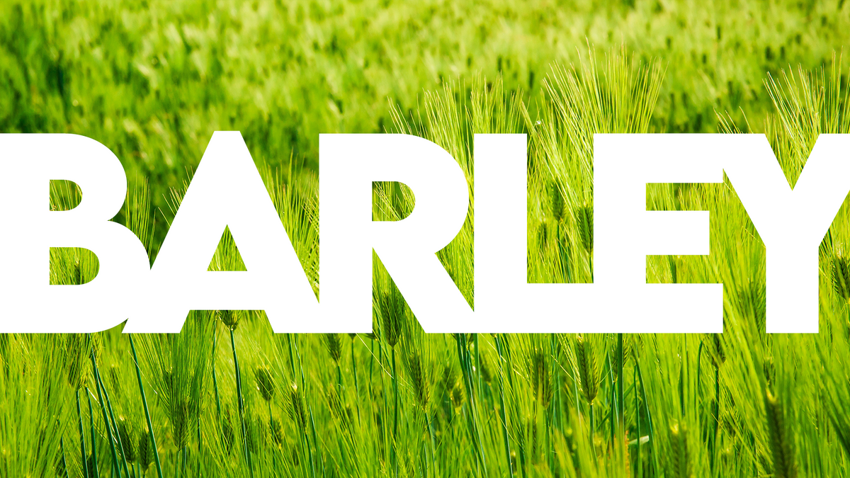 Gladiator Fuel – Herbally Grounded