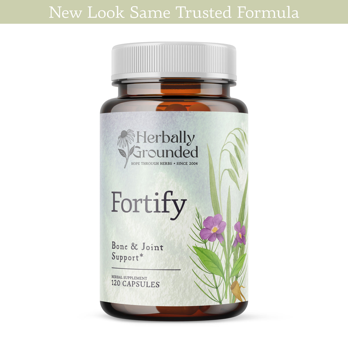 Fortify Bone & Joint Support - Capsules – Herbally Grounded